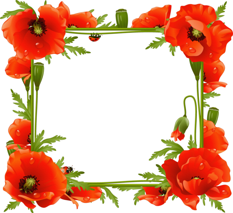 Lest we Forget Frame for Remembrance Poppy Day Facebook Profile Picture ...