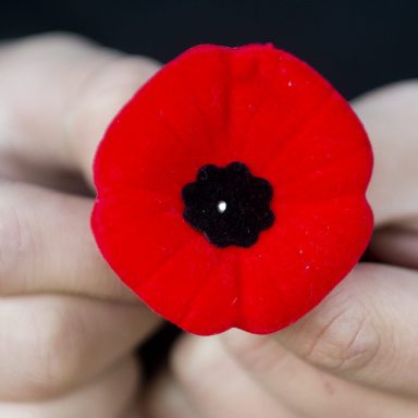 Poppy Frame for Facebook - Poppy Photo Picture Frames - Profile Picture ...