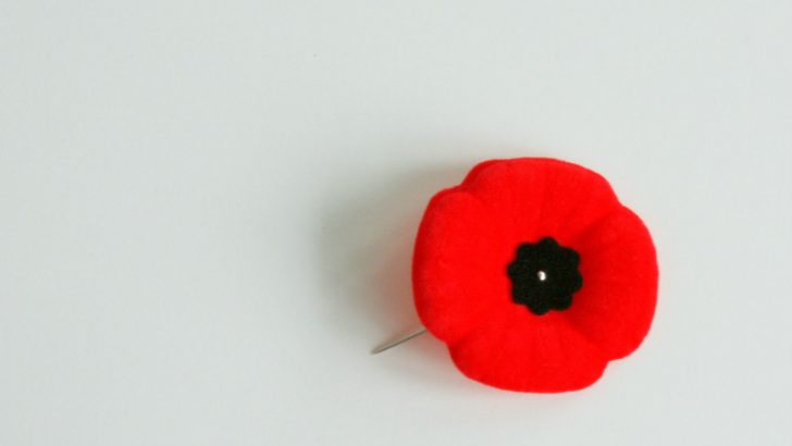 Poppy Photo Frame - Remembrance Day Frames for Facebook Picture Image ...
