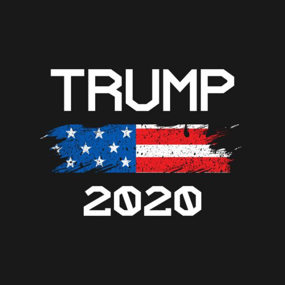 Election 2020 - Trump Profile picture Frame - I voted Facebook frames ...