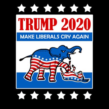 Trump 2020 Facebook frame - Election Vote - Profile picture frames ...