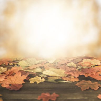 Hello Autumn Fall Profile Picture Frames Photos Images for Profile ...