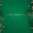 Merry Christmas Profile picture frames images pictures and greetings ...