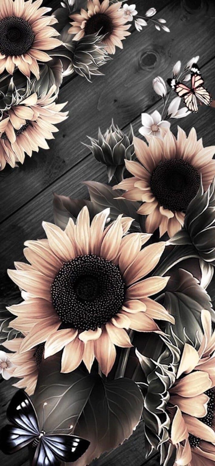 sunflower - Profile Picture Frames for Facebook